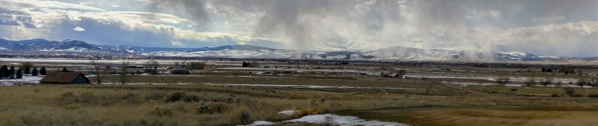 EverydayADHD.com – Managing The Unmanagable